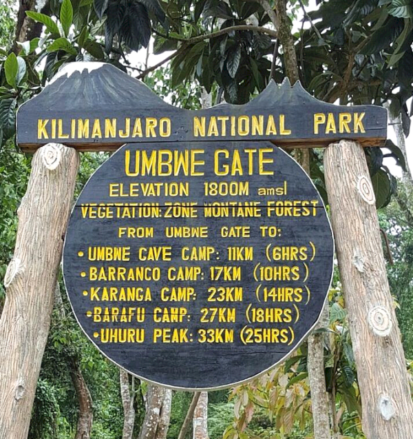 6 days Umbwe Route Kilimanjaro climb - Kilimanjaro Climbing